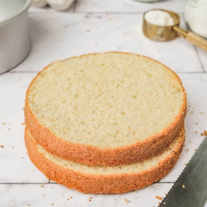 Chocolate Genoise Recipe - Sweetly Cakes Perfect recipe, soft and light