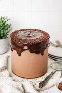 Chocolate Ganache Layer Cake with Chocolate Cremeux Filling