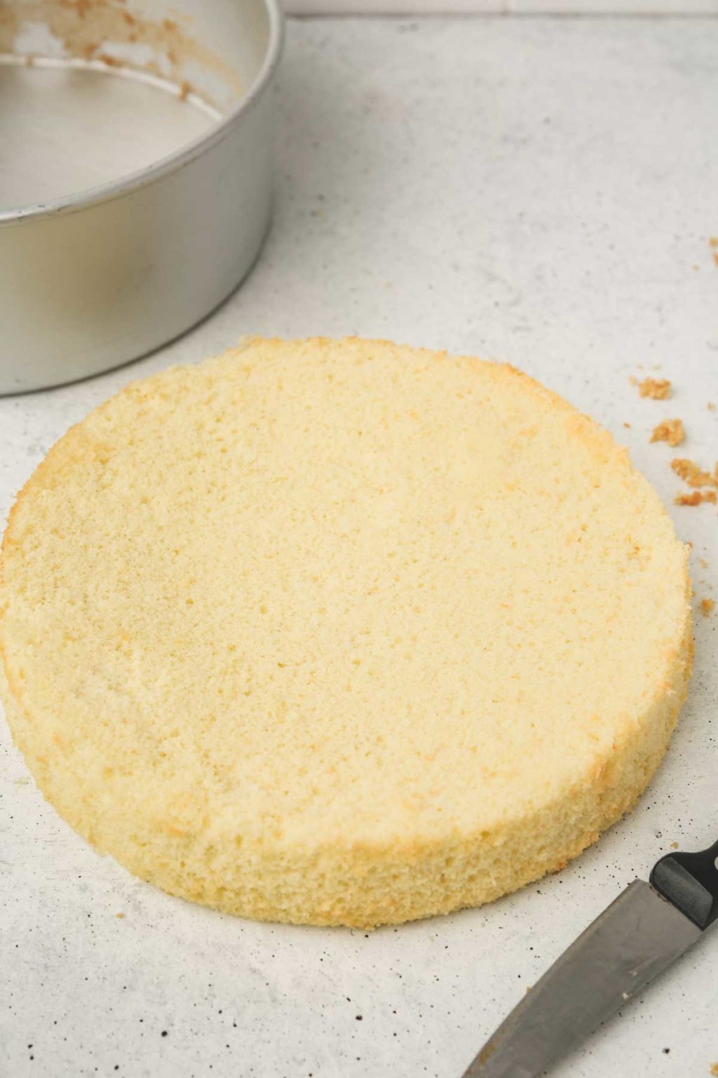Best Genoise Sponge Recipe - Airy & Fluffy - Only 3 ingredients