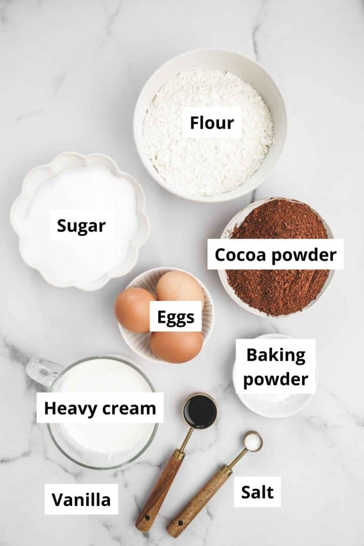 Chocolate Ganache Layer Cake with Chocolate Cremeux Filling