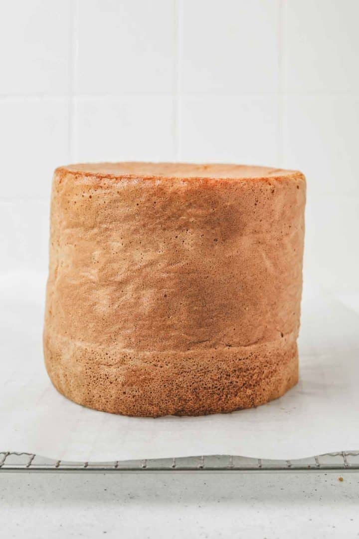 Tall Sponge Cake - Light and Fluffy Recipe for Perfect Layer Cakes