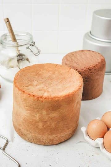 Tall Sponge Cake - Light and Fluffy Recipe for Perfect Layer Cakes